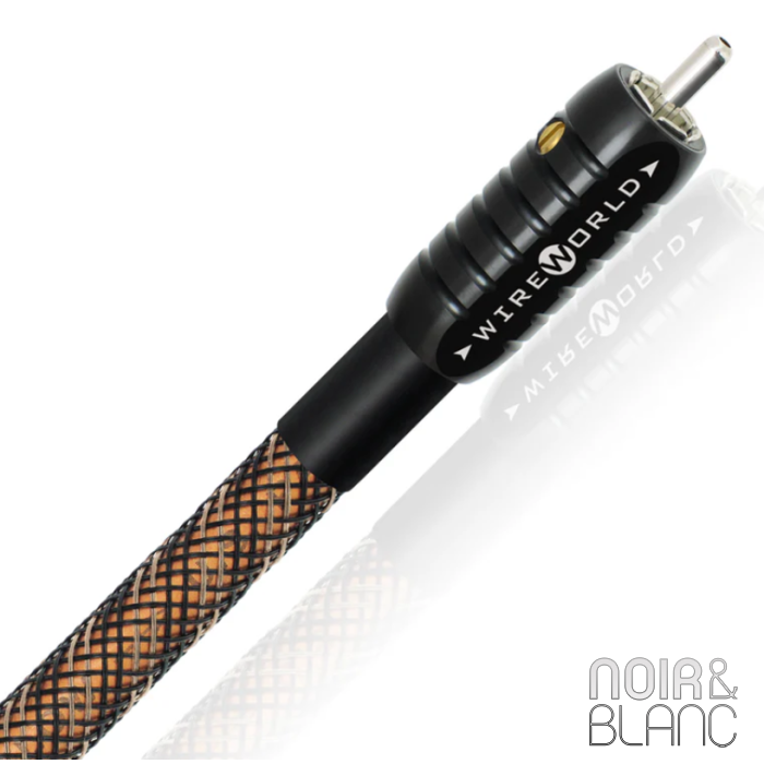 Câble audio Wireworld Eclipse 8 | Noir et Blanc