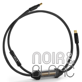 Câble digital USB Shunyata Research Sigma USB | Noir et Blanc