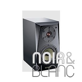 Focus Audio FP-50 SE
