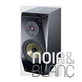 Focus Audio FP-60 SE Ebony