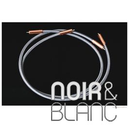 Organic Audio Câble Modulation